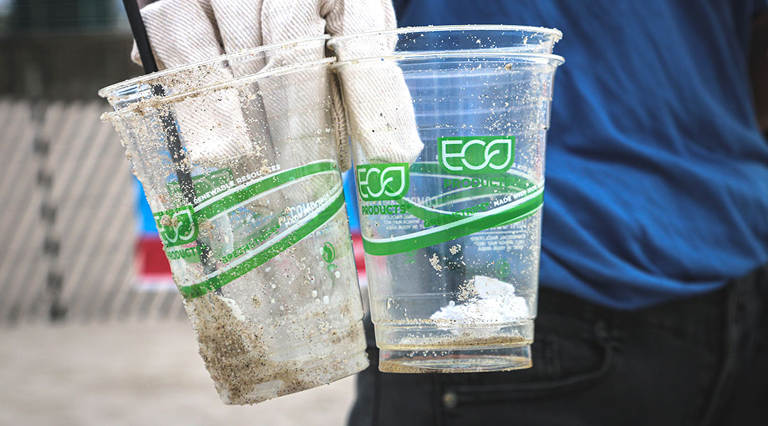 Greenwashing einfach erklärt: Definition, Beispiele & Erkennung